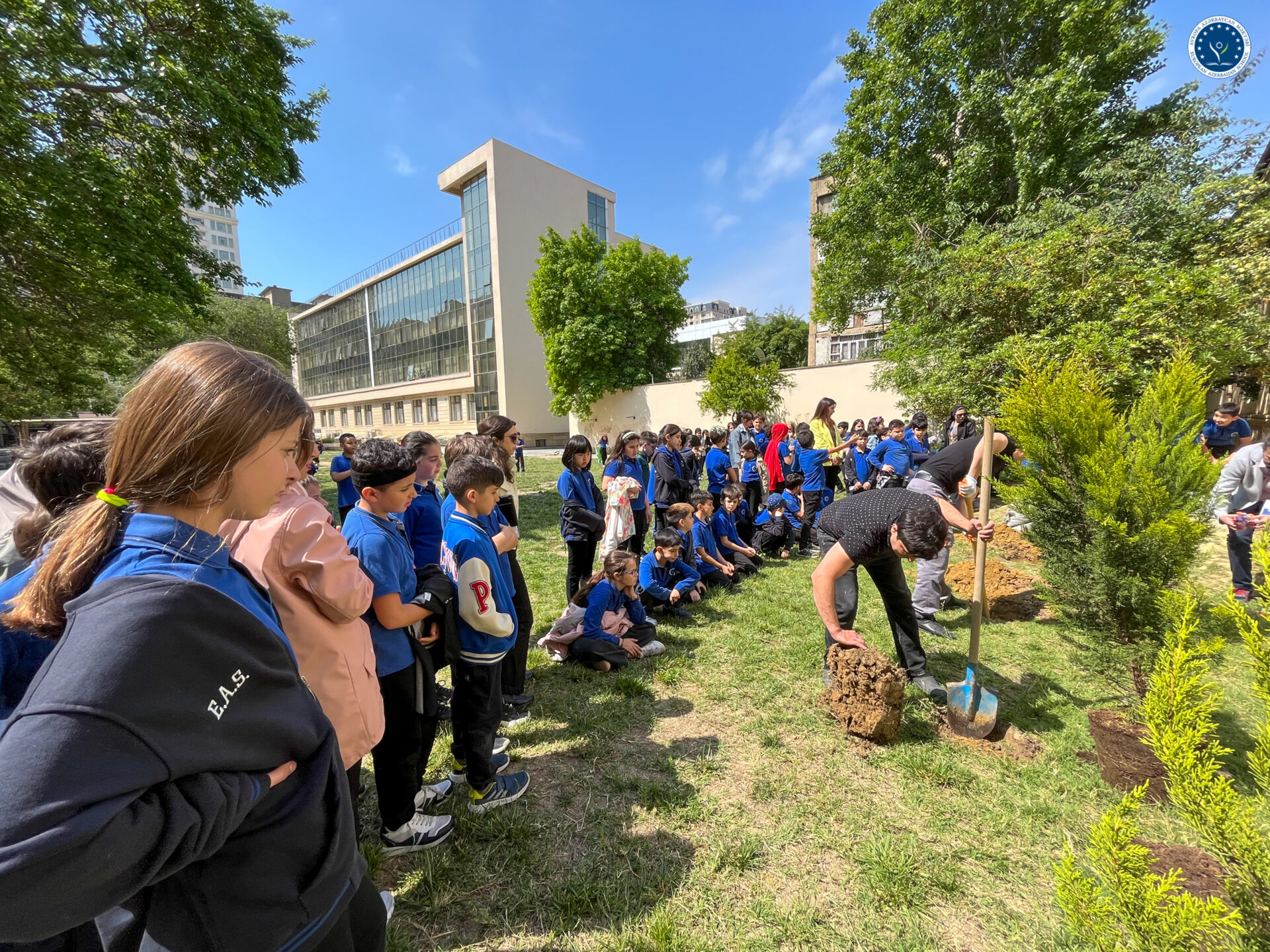 Growing a Greener Future: Our Successful Tree-Planting Campaign ...