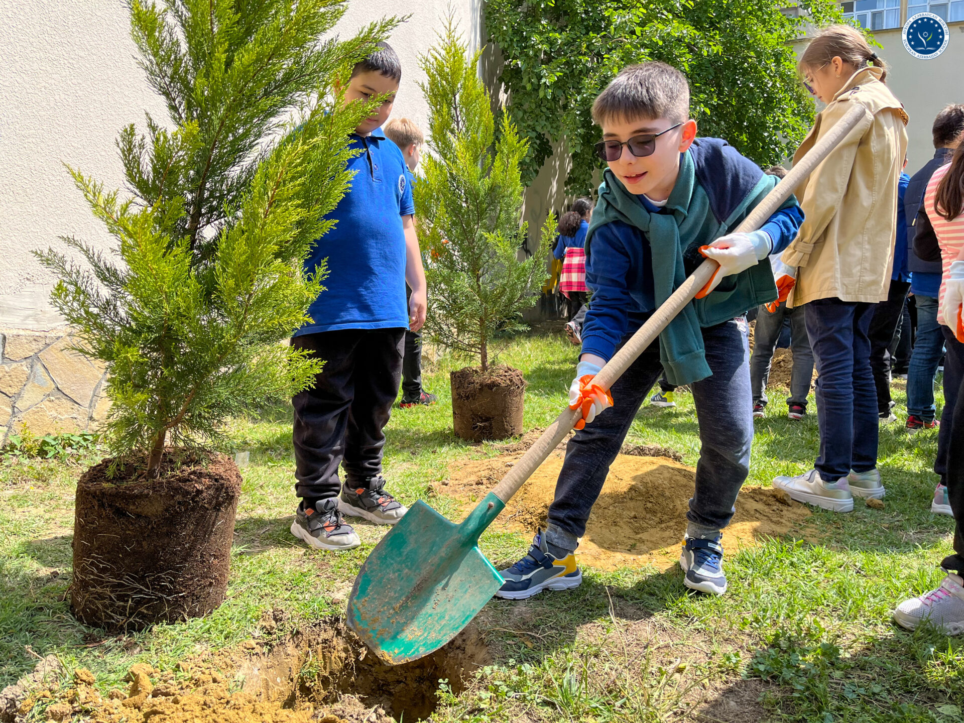 Growing a Greener Future: Our Successful Tree-Planting Campaign ...