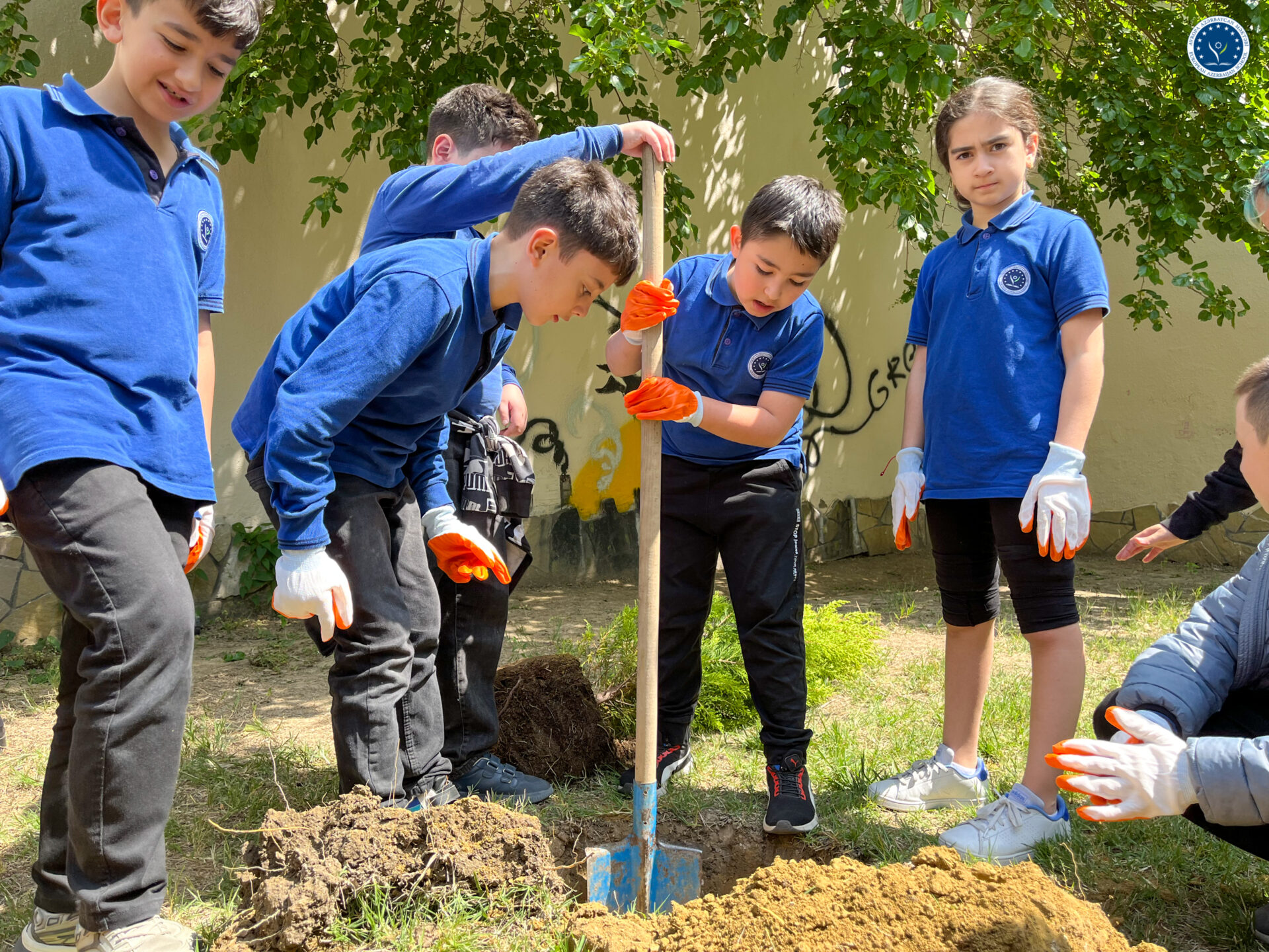 Growing a Greener Future: Our Successful Tree-Planting Campaign ...