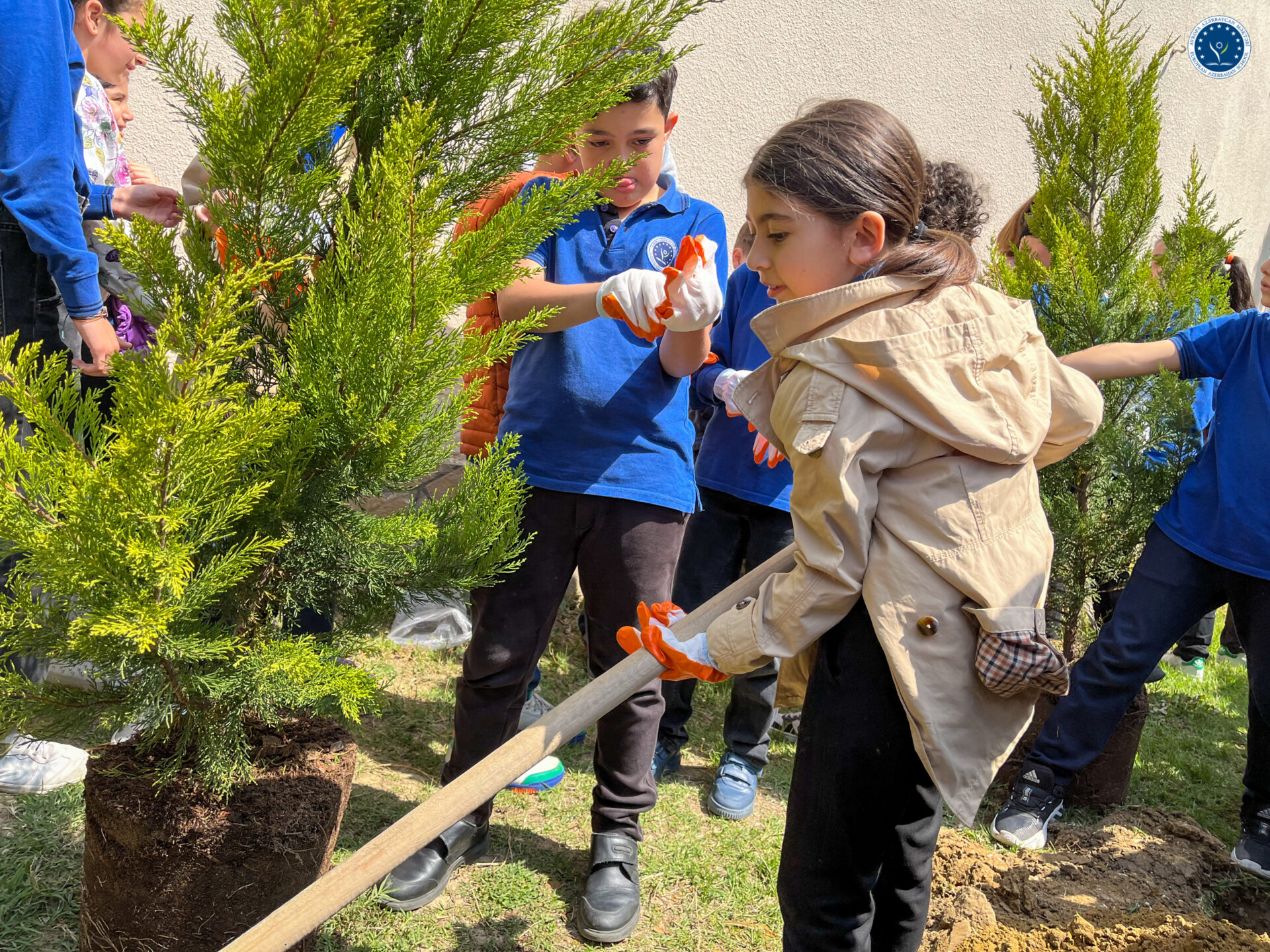 Growing a Greener Future: Our Successful Tree-Planting Campaign ...