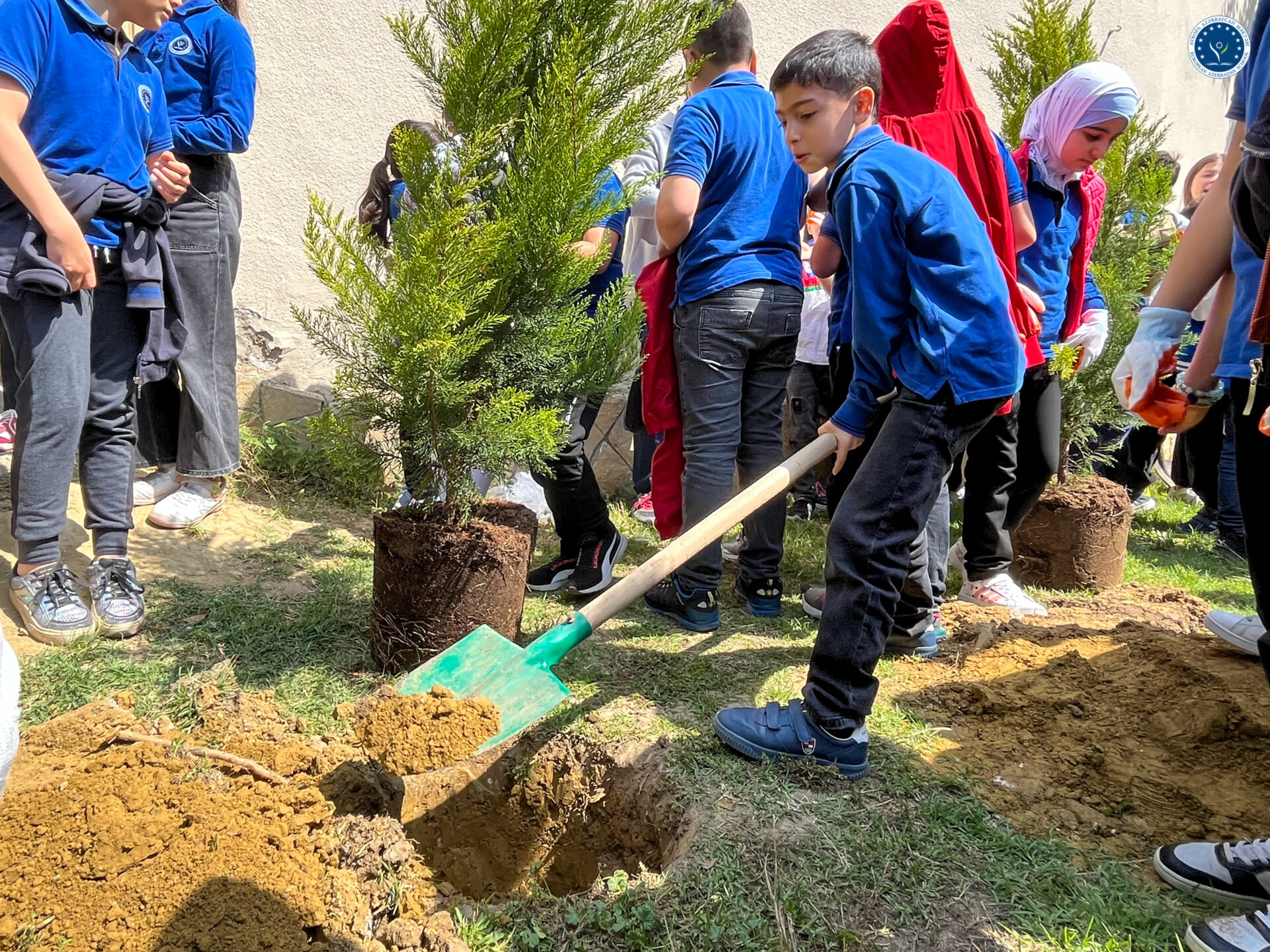 Growing a Greener Future: Our Successful Tree-Planting Campaign ...