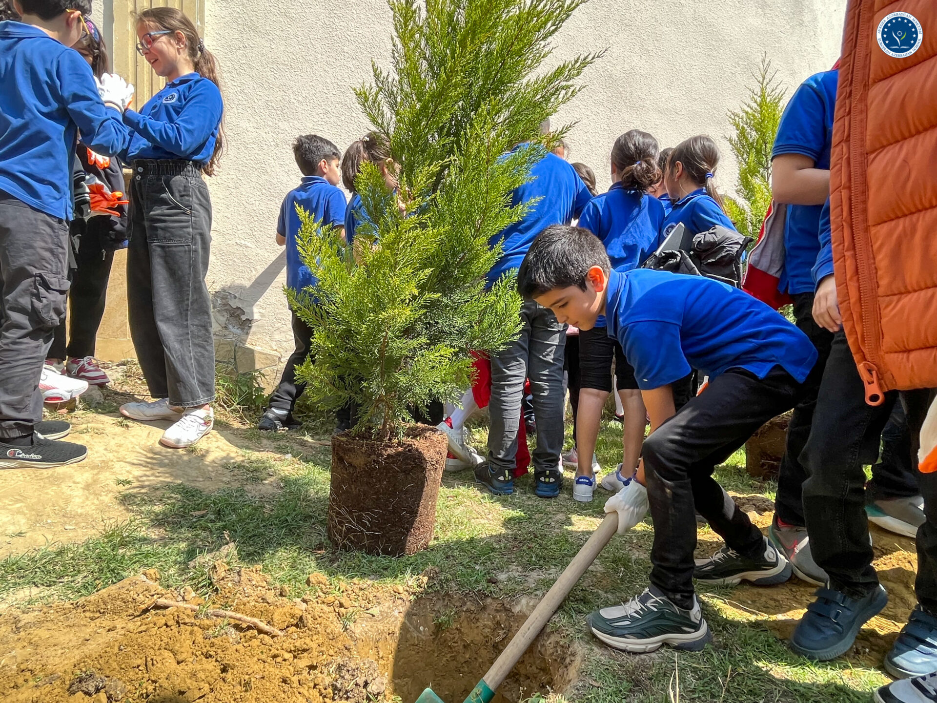 Growing a Greener Future: Our Successful Tree-Planting Campaign ...