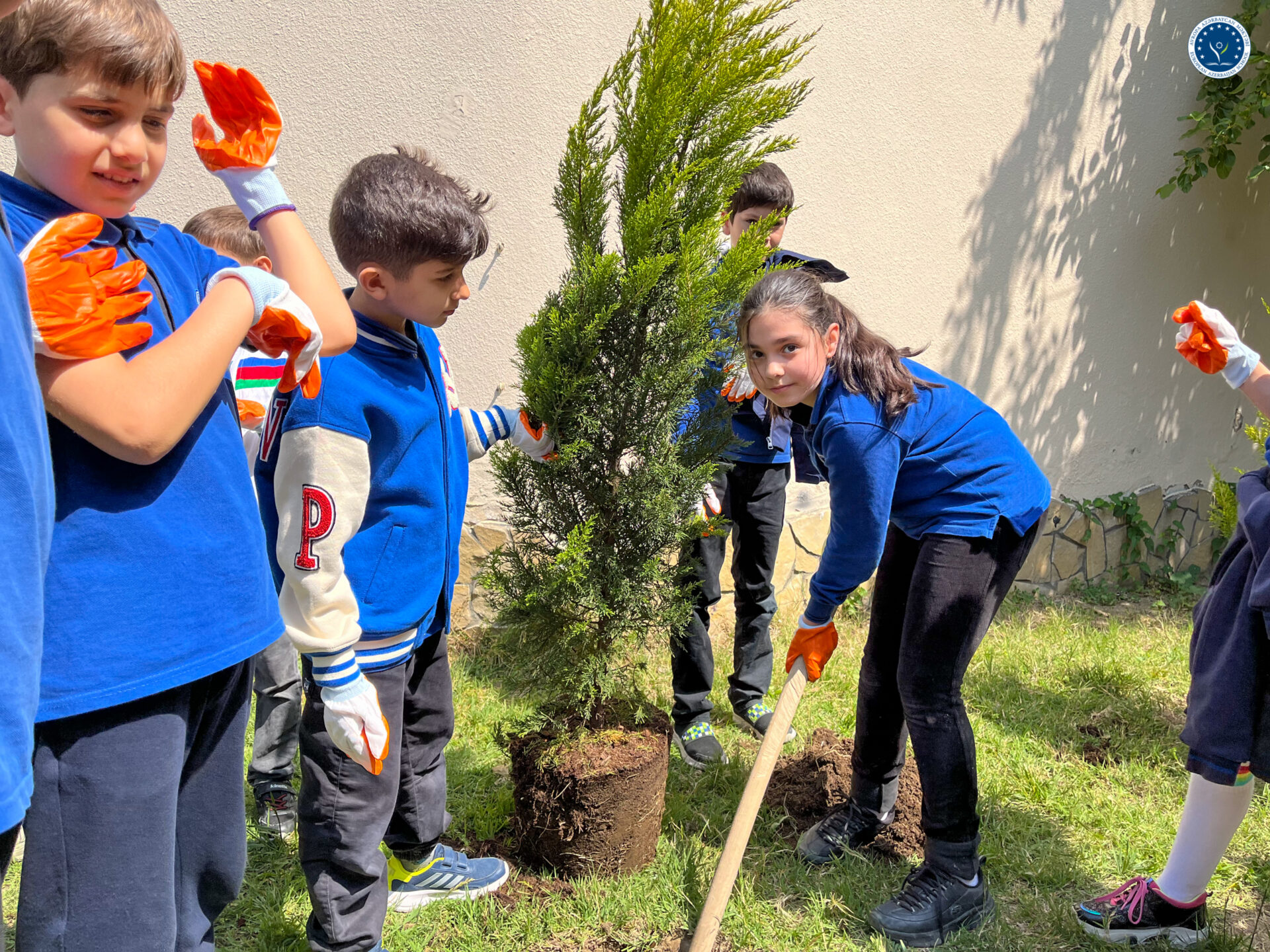 Growing a Greener Future: Our Successful Tree-Planting Campaign ...