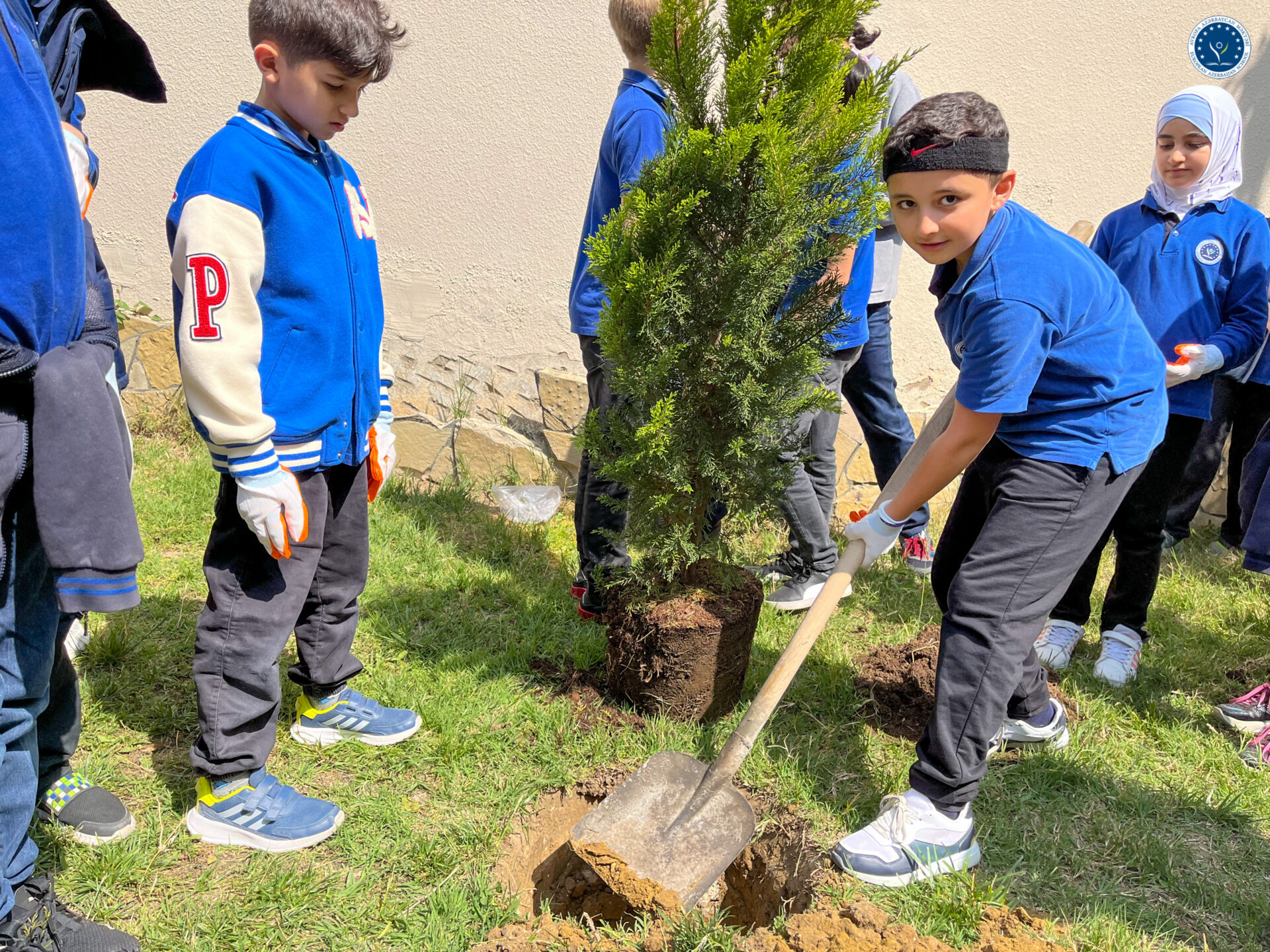 Growing a Greener Future: Our Successful Tree-Planting Campaign ...